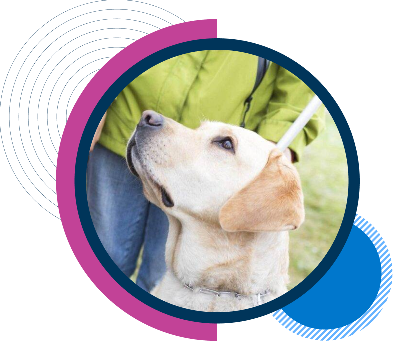 Guide Dogs | Learning Pool