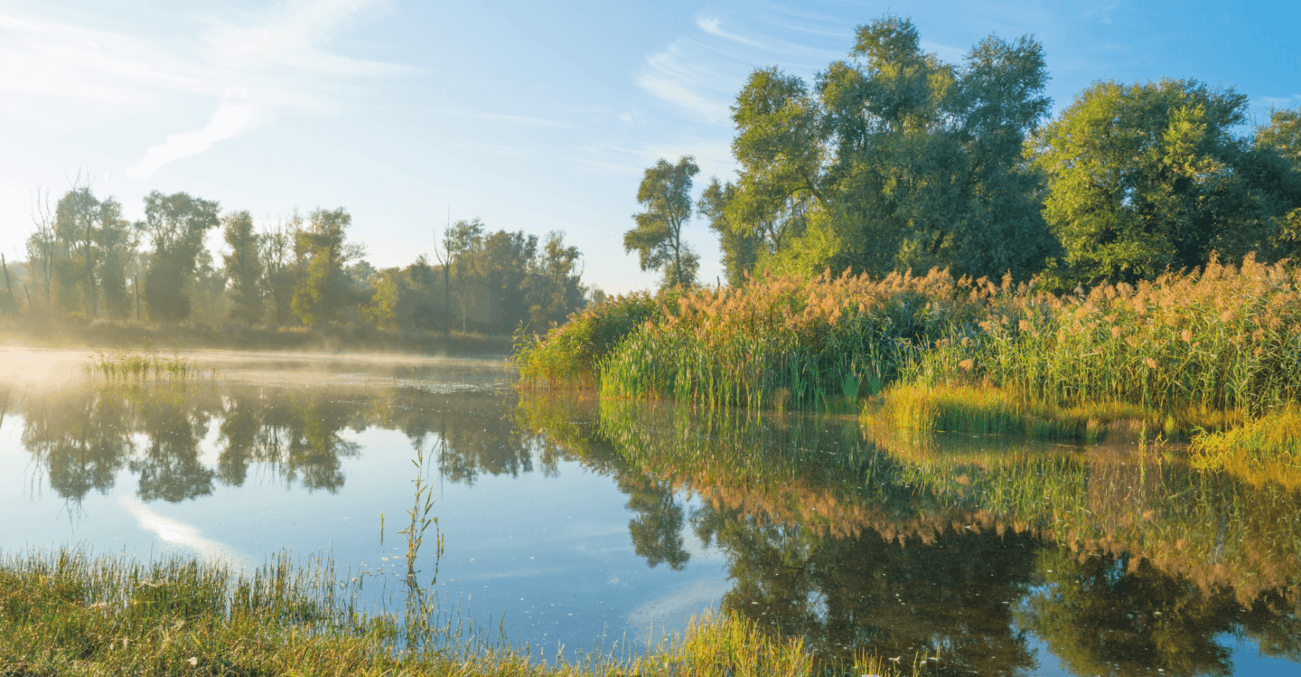 True Office Learning wins twice at Brandon Hall’s 2022 HCM Excellence ...